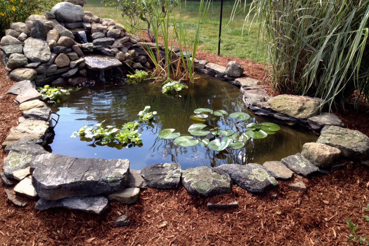 Conseils pour construire votre bassin de jardin - Bati-mag